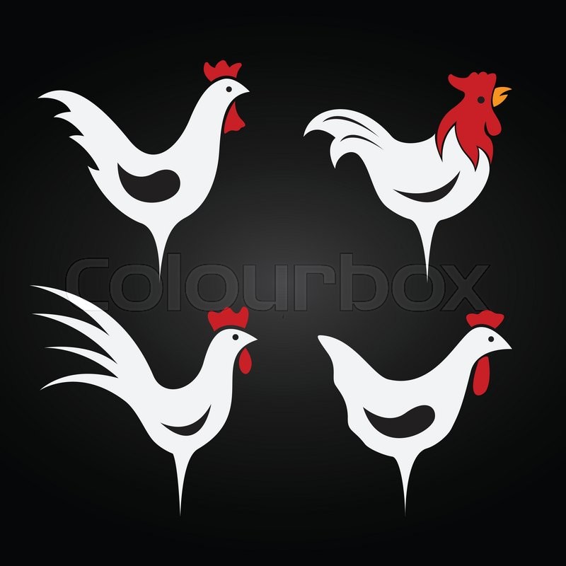 Vector image of an chicken design on ... | Stock vector | Colourbox