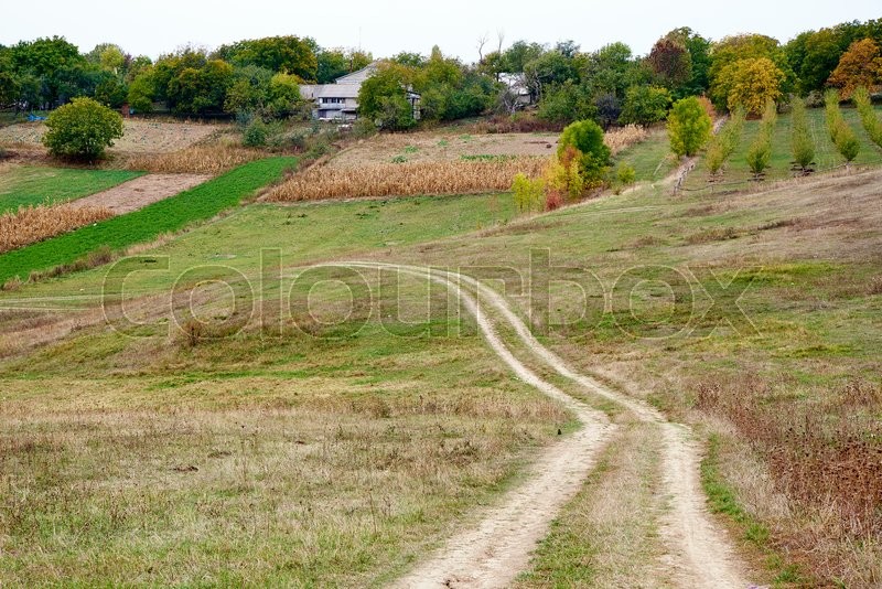Country road. Rural landscape scene. | Stock image | Colourbox