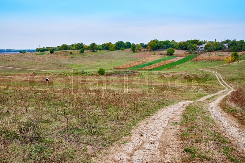 Country road. Rural landscape scene. | Stock image | Colourbox