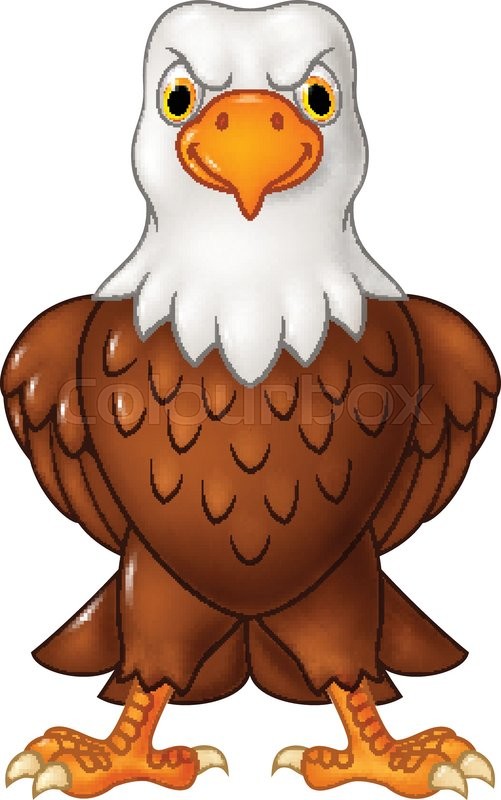 Vector illustration of Cartoon bald ... | Stock vector | Colourbox