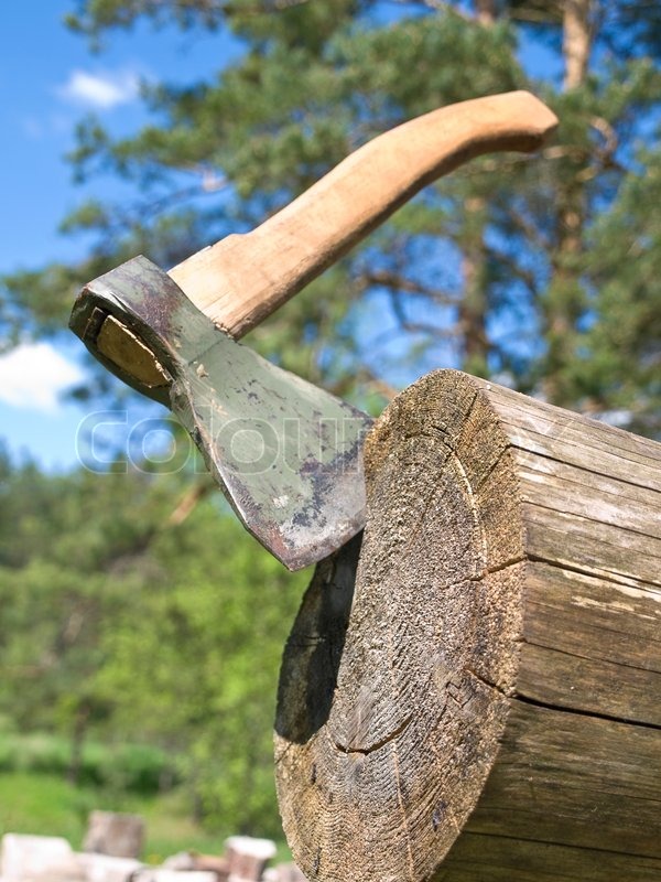 Single axe in wood against the nature ... | Stock image | Colourbox