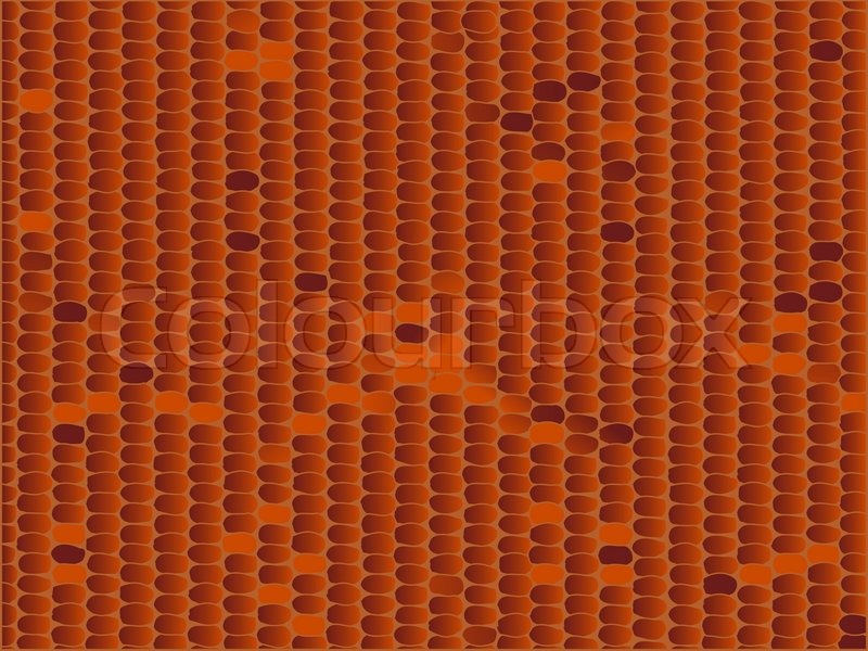 Illustration in the brown snake skin ... | Stock vector | Colourbox