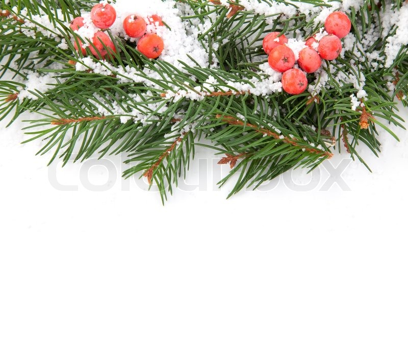 Julen rammer med sne og kristtjørn bær ... | Stock foto | Colourbox