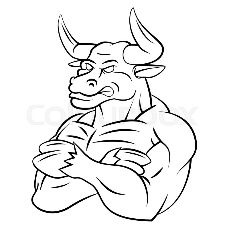 Buff Bull Drawings