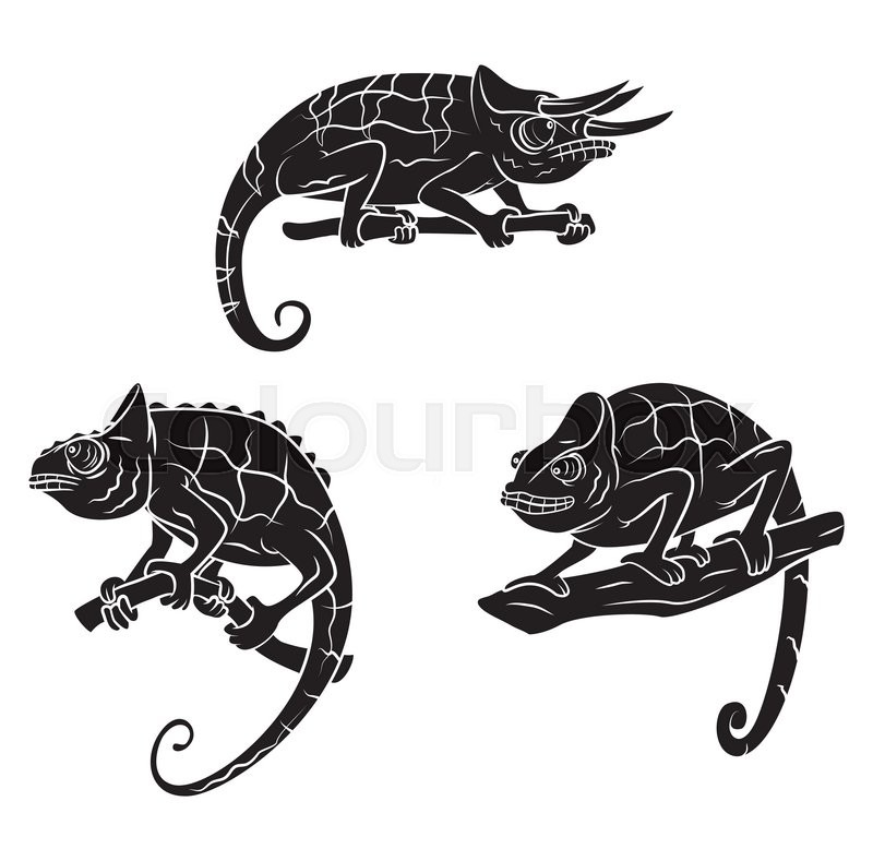 Chameleon | Stock vector | Colourbox
