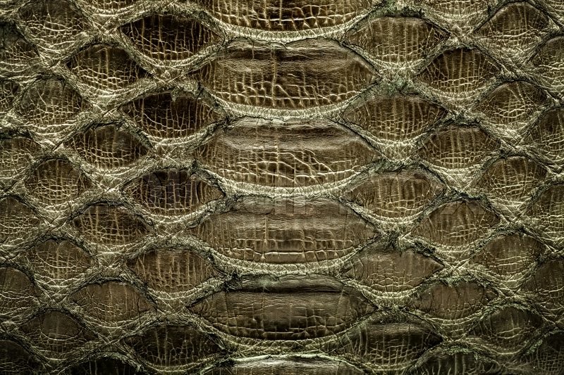 Dark gold python leather, skin ... | Stock image | Colourbox