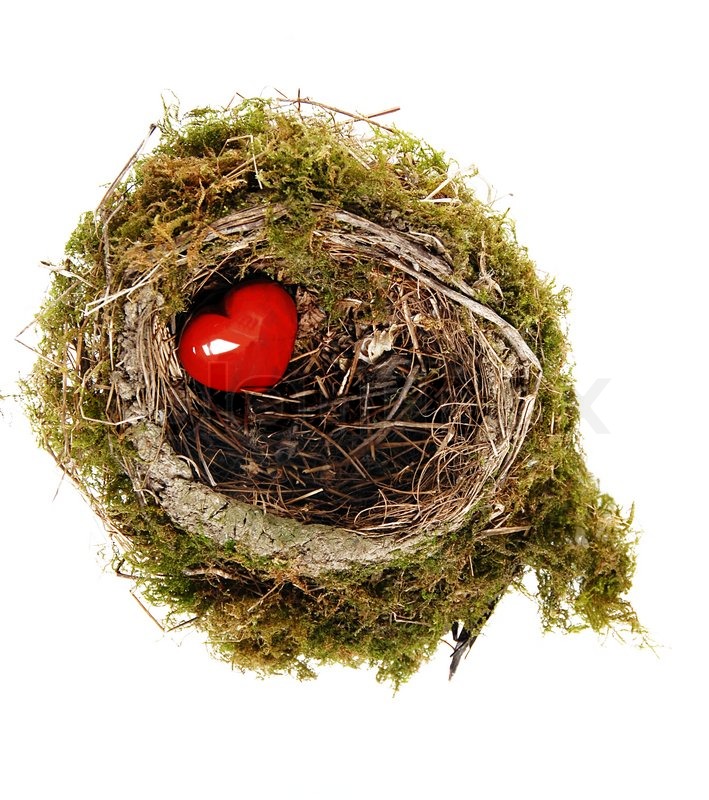 Red heart in birds nest isolated over ... | Stock image | Colourbox