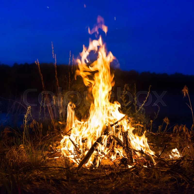 Big campfire at night in the forest ... | Stock image | Colourbox