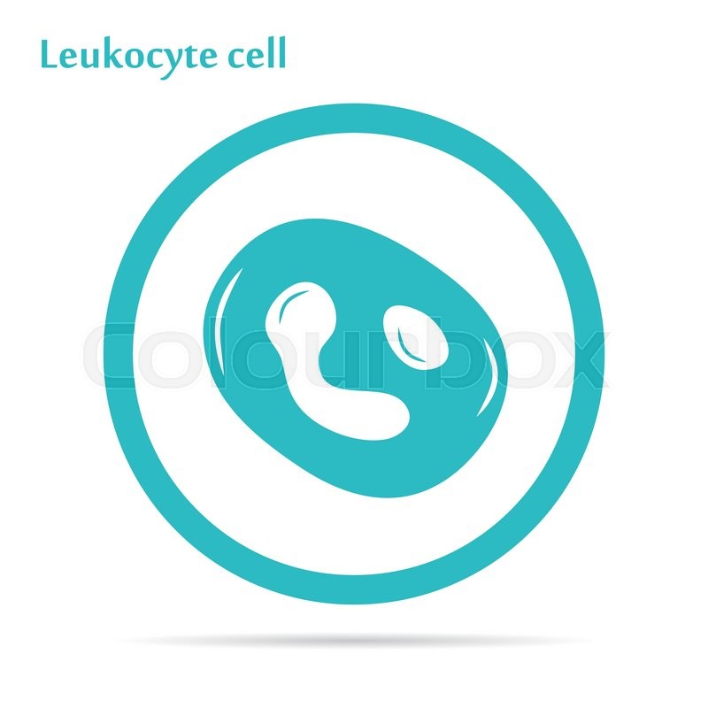 Flat icon leukocytes cell in round ... | Stock vector | Colourbox
