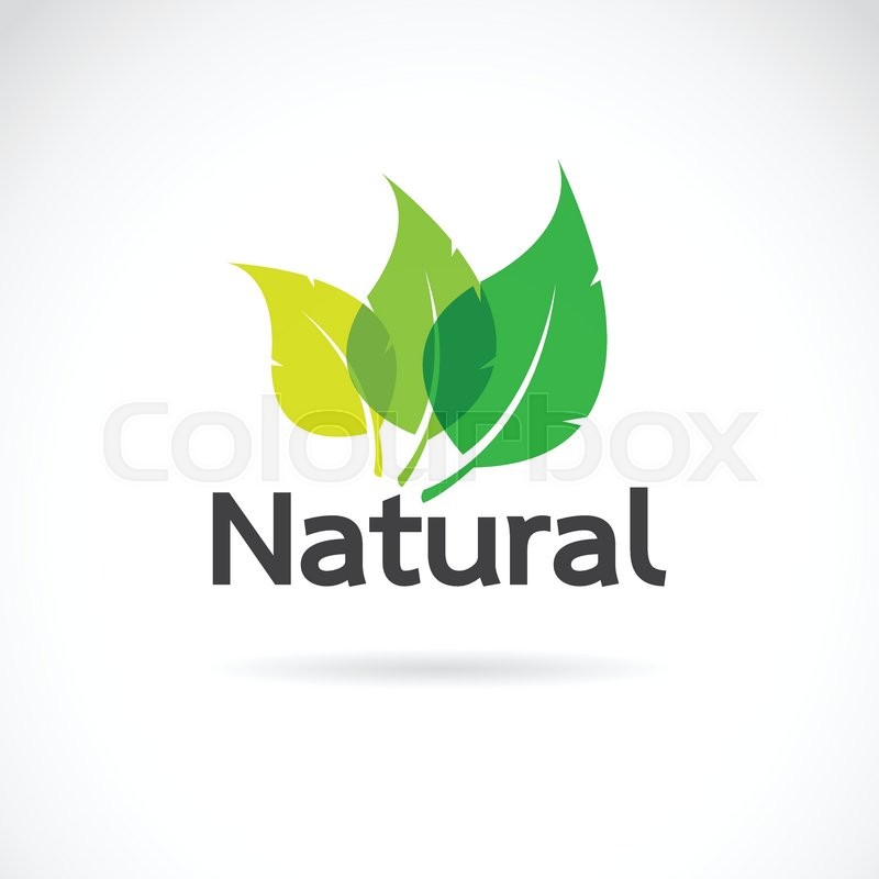 Natural logo design vector template on ... | Stock vector | Colourbox