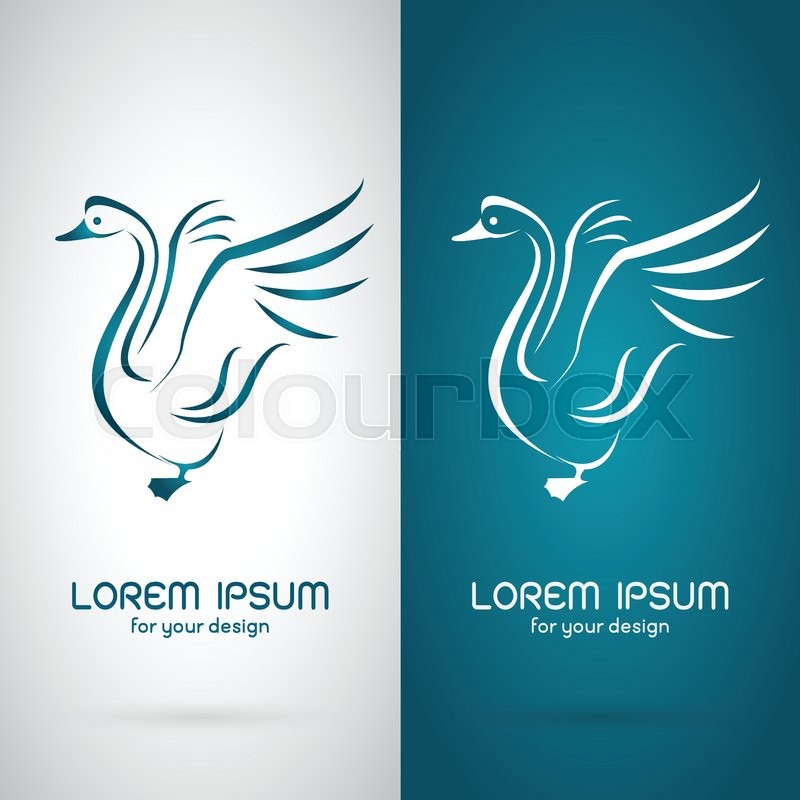 Vector image of an swan design on ... | Stock vector | Colourbox