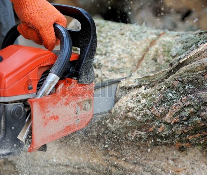 Close-up professional chainsaw blade ... | Stock image | Colourbox
