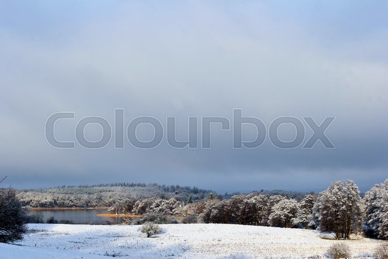 Nature in winter under snow in denmark | Stock image | Colourbox