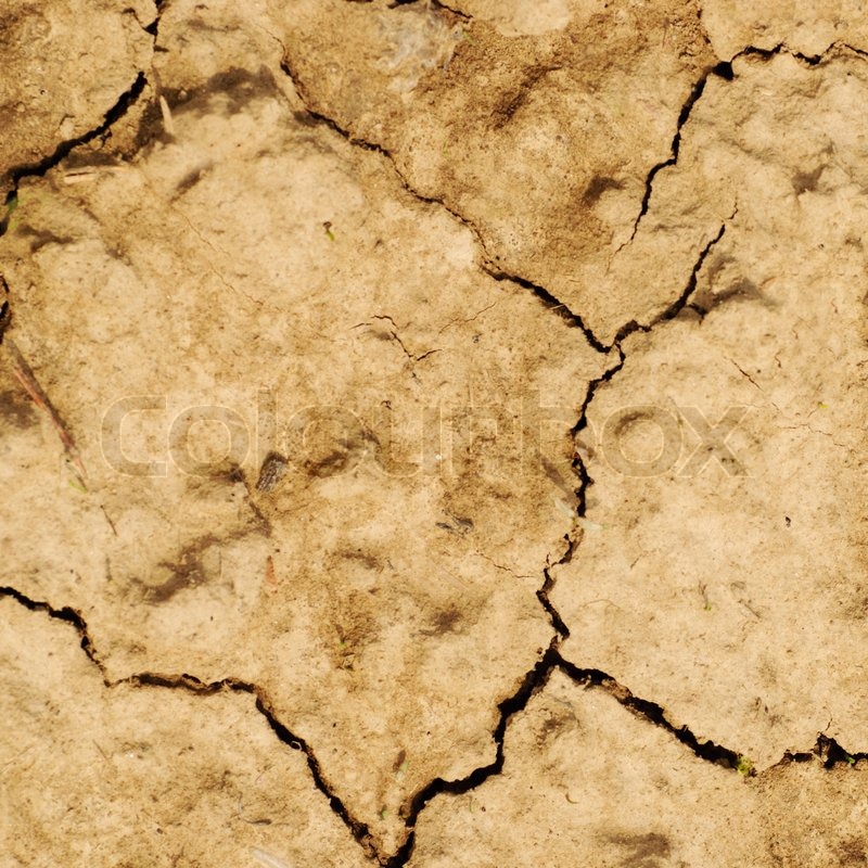 Dry soil texture with green new sprouts | Stock image | Colourbox