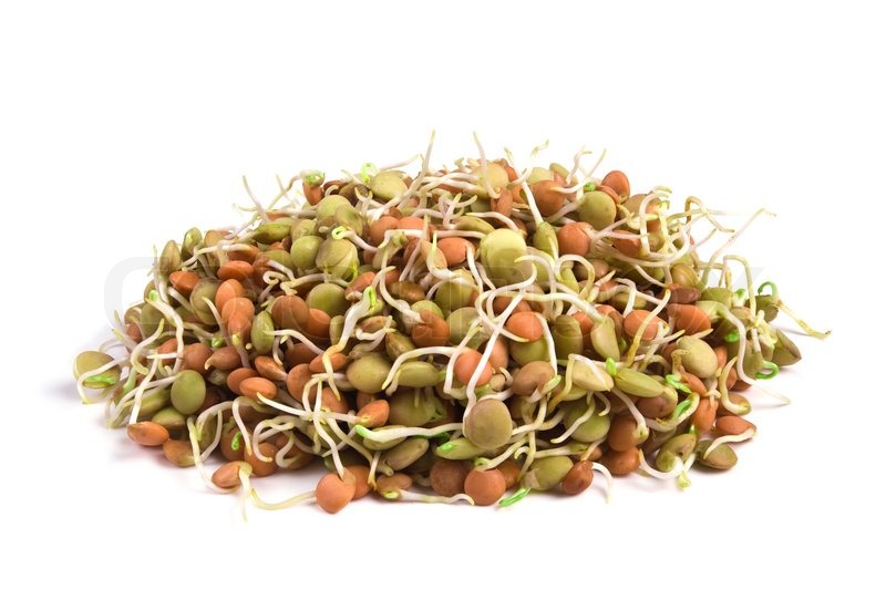 Healthy food.Lentil seeds with sprouts ... | Stock image | Colourbox