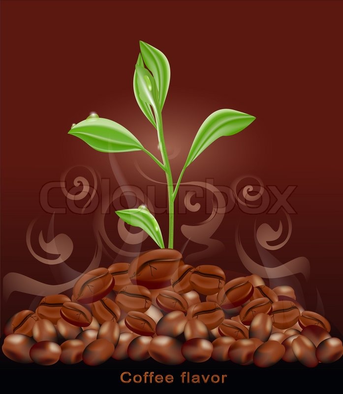 Sprout grows from a pile of coffee on a ... | Stock image | Colourbox