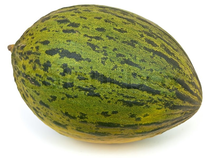 Photo of the green melon against the ... | Stock image | Colourbox