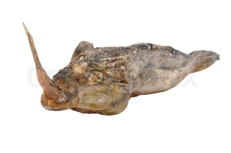 Salty fish swallowing a smaller fish. ... | Stock image | Colourbox