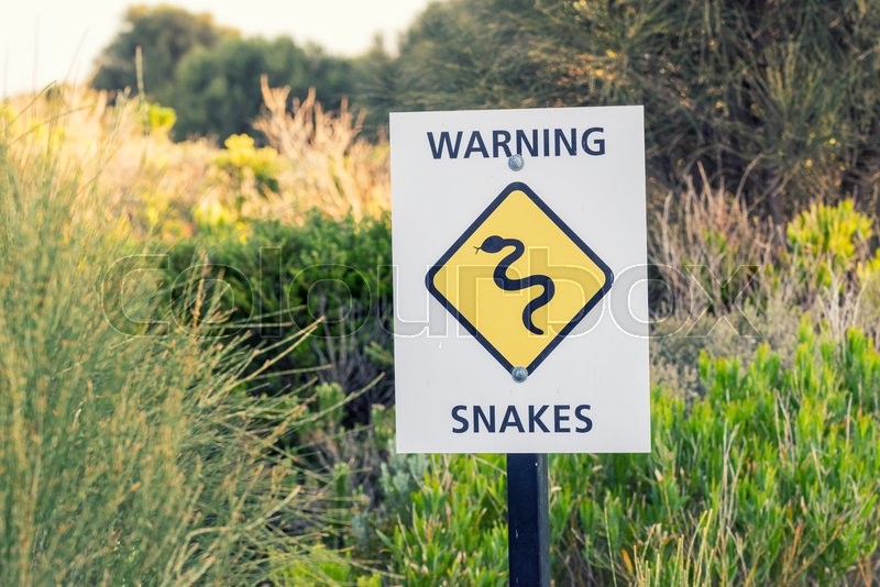 Snake danger sign, Australia. | Stock image | Colourbox