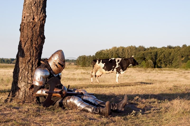 Medieval knight in the field with an ... | Stock image | Colourbox