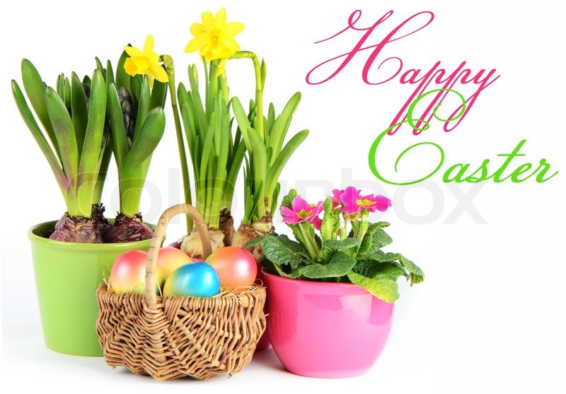 Colorful spring flowers. happy easter | Stock image | Colourbox