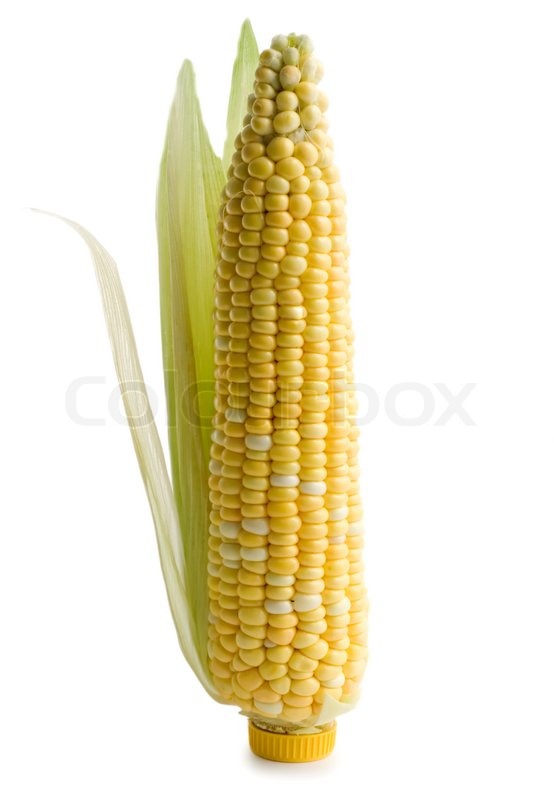 Corn cob oil close-up isolated on white ... | Stock image | Colourbox