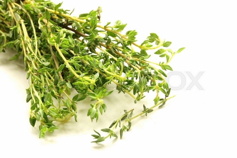 Fragrant fresh green thyme on white ... | Stock image | Colourbox