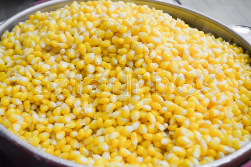 Boil corn kernels for cook some food. | Stock image | Colourbox