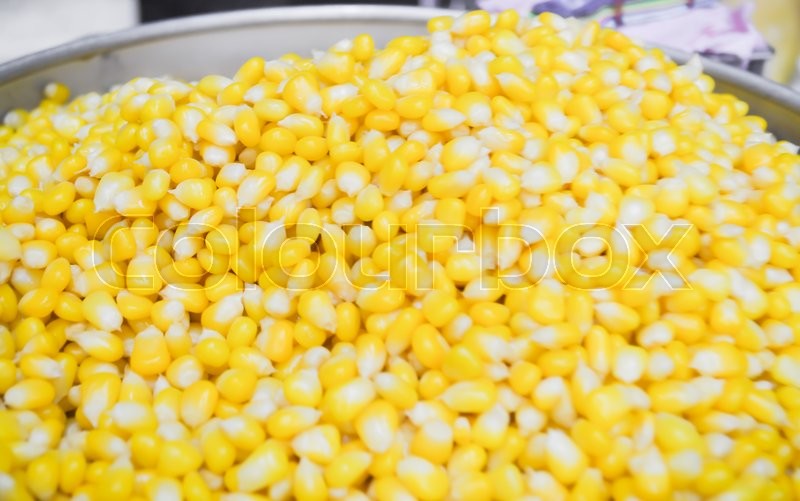 Boil corn kernels for cook some food. | Stock image | Colourbox