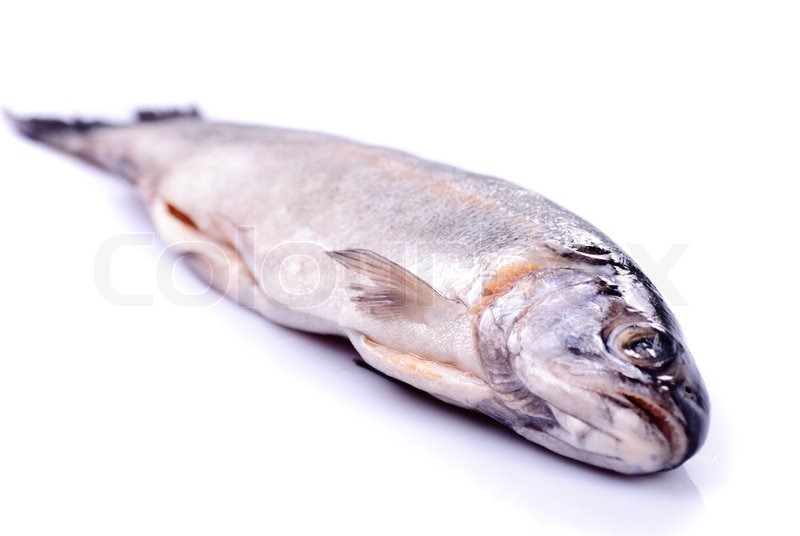 Dead trout isolated on white, prepared ... | Stock image | Colourbox