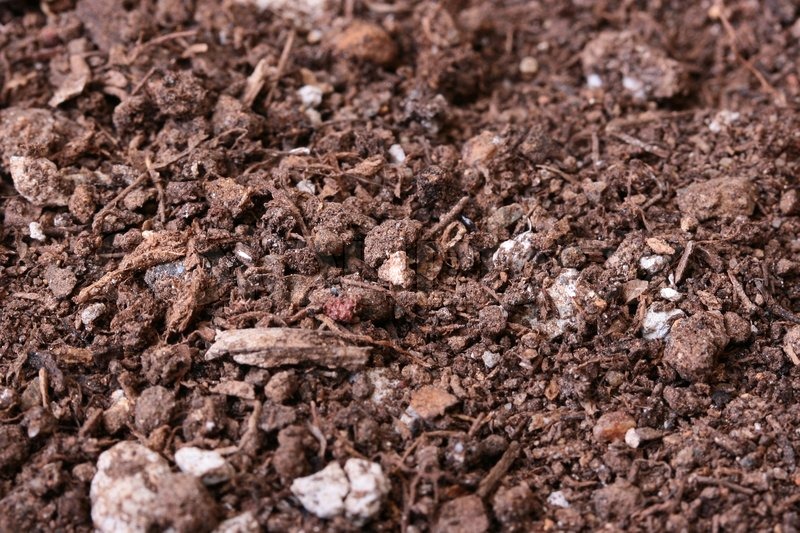 Ground as a background for design ... | Stock image | Colourbox