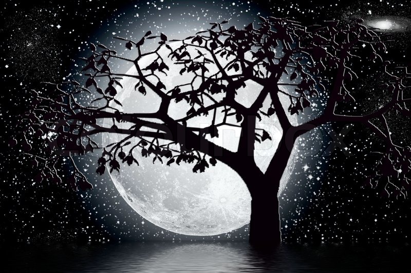 Tree shined with a moonlight. | Stock Photo | Colourbox