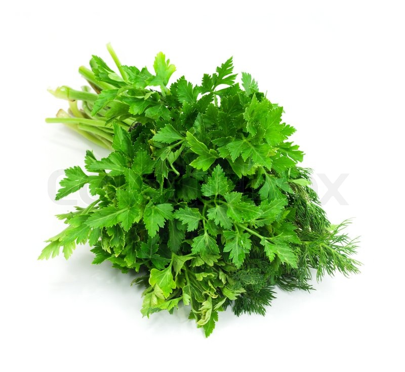 Dill parsley to spices bunch isolated ... | Stock image | Colourbox