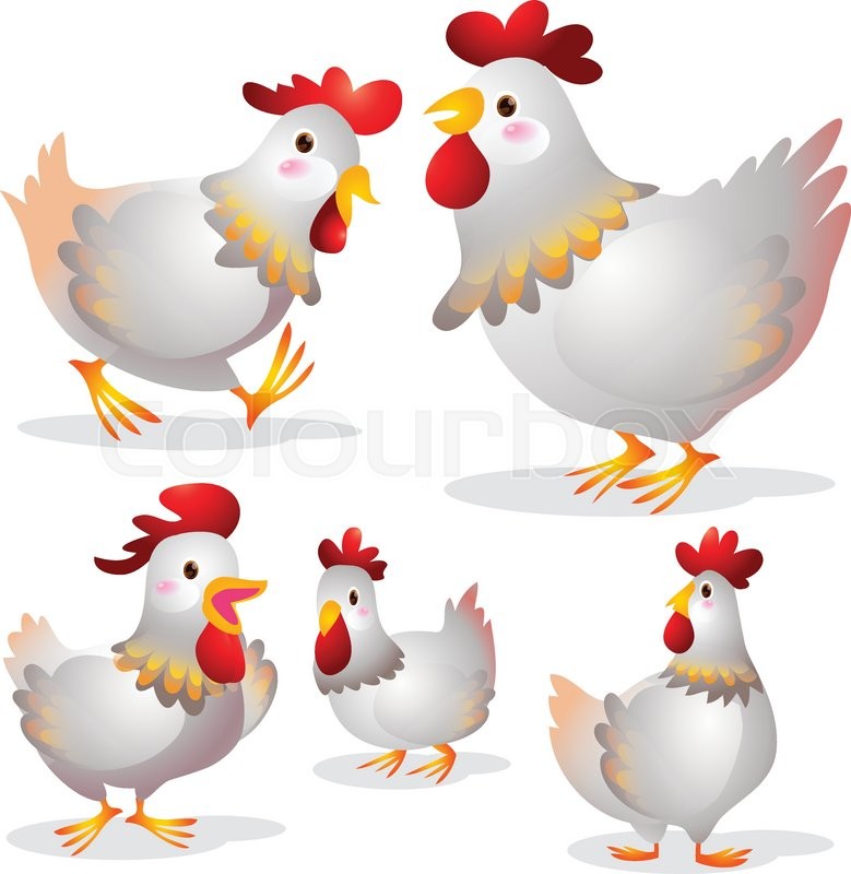 Illustration ofCute hens on a white ... | Stock vector | Colourbox