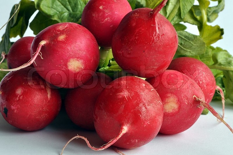 Radieschen | Stock Bild | Colourbox