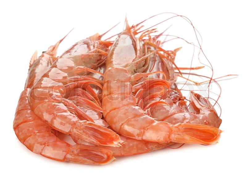 Raw langoustine isolated on white ... | Stock image | Colourbox