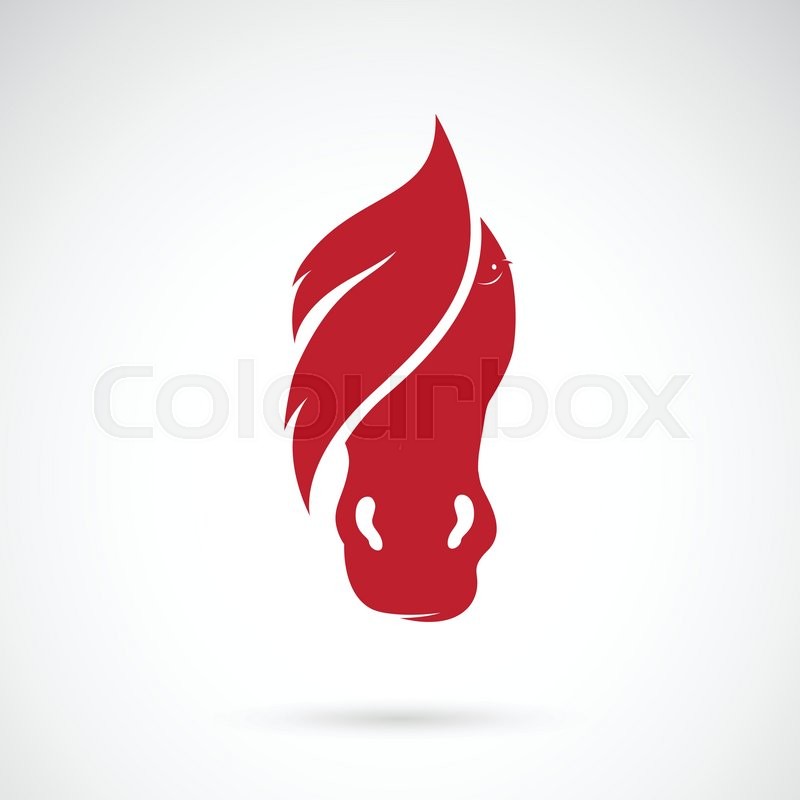 Vector image of an horse face design ... | Stock vector | Colourbox