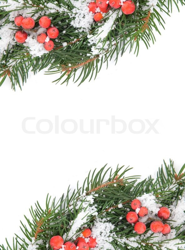 Julen rammer med sne og kristtjørn bær ... | Stock foto | Colourbox