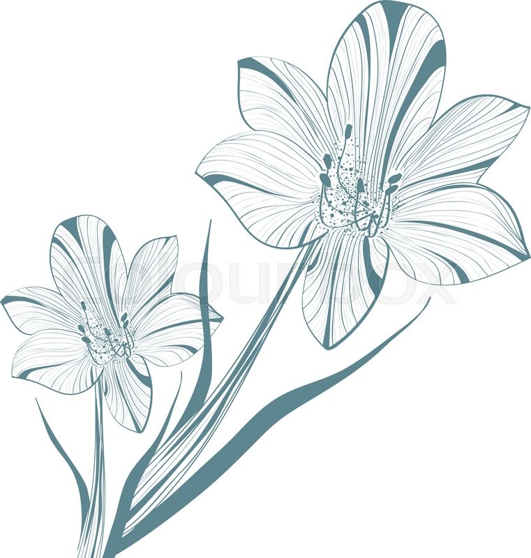 One colored Abstract Vintage Lily ... | Stock vector | Colourbox