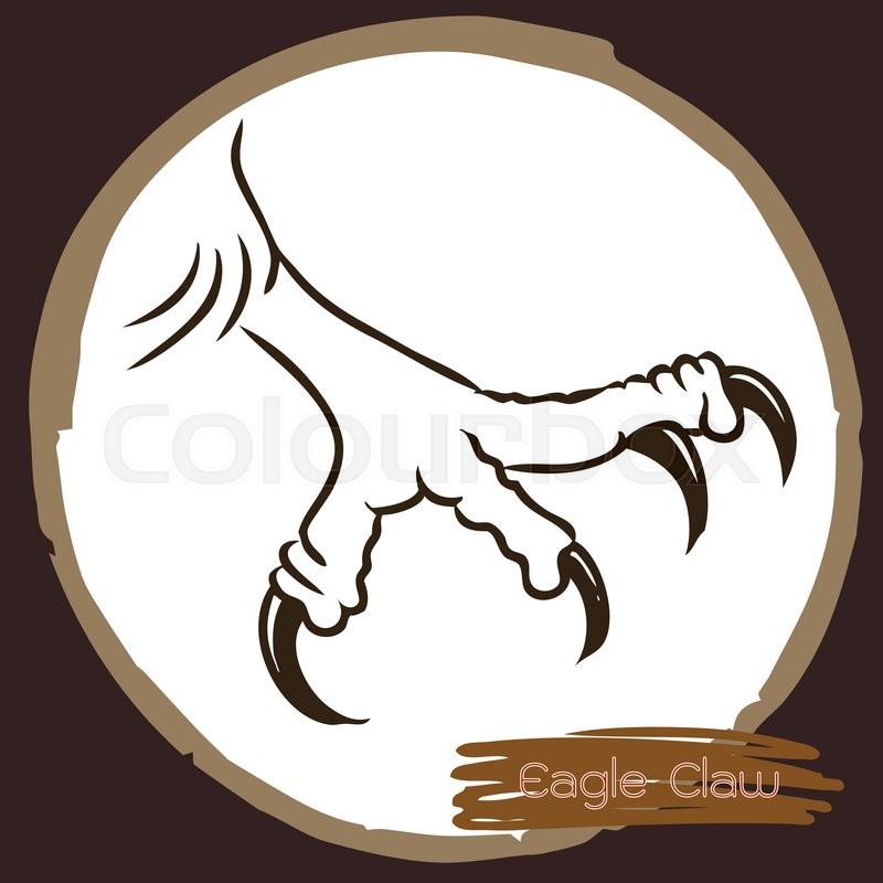 Bird Claw Vector