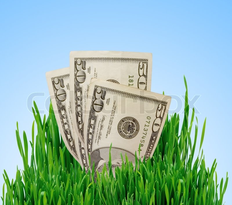 Growing money in green grass over blue ... | Stock image | Colourbox