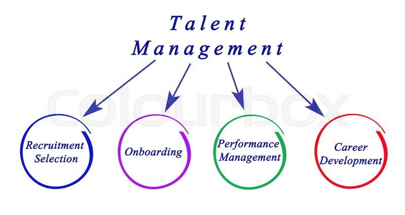 Diagram of Talent Management | Stock image | Colourbox