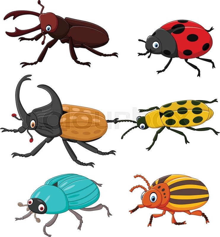 Vector illustration of Cartoon funny ... | Stock vector | Colourbox