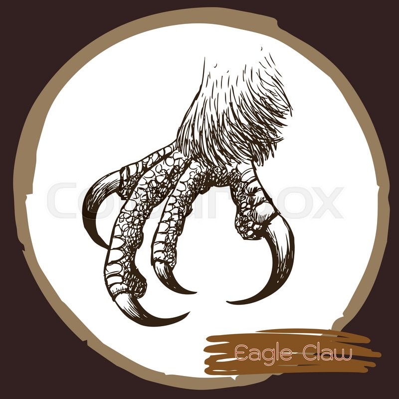 Eagle Claw Vector