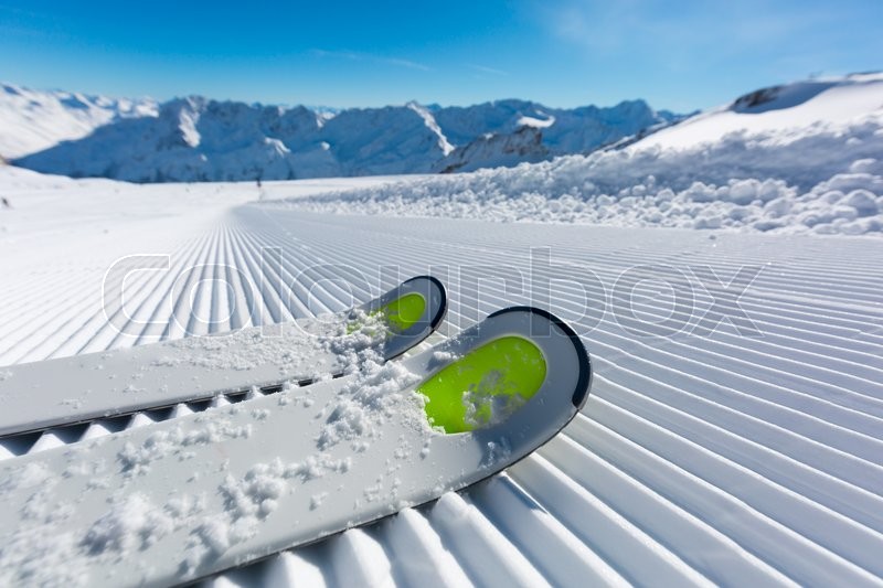 Pair of ski tips standing on the fresh ... | Stock image | Colourbox