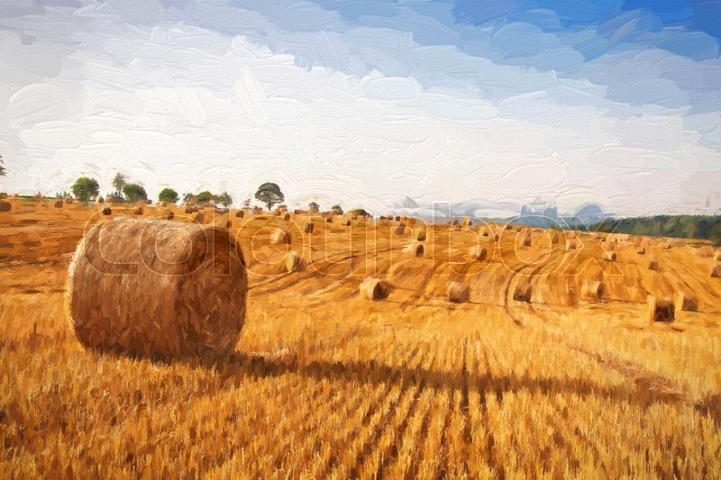 Oil painting summer landscape - hay ... | Stock image | Colourbox