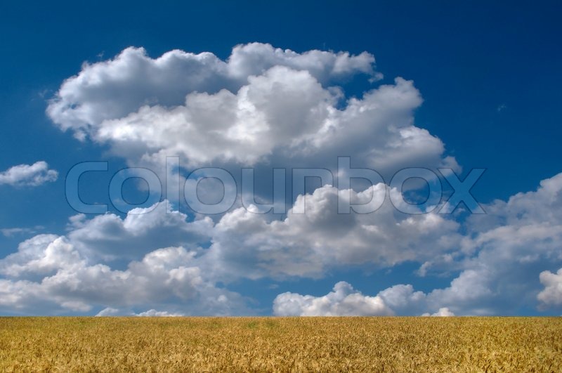 Natur baggrund. | Stock foto | Colourbox