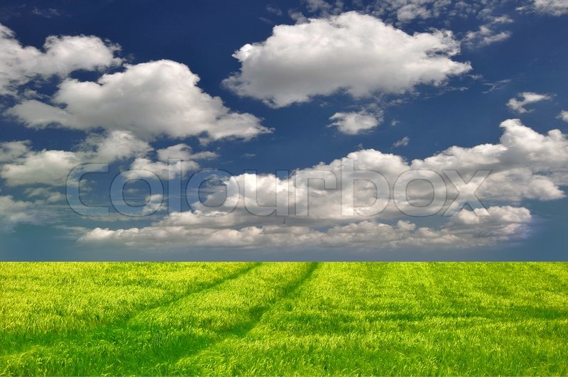 Nature background. Clear landscape with ... | Stock image | Colourbox