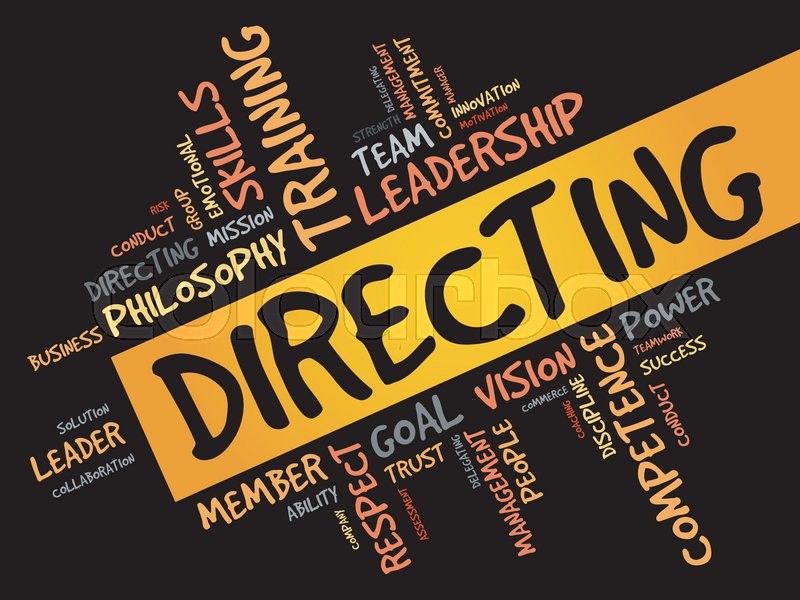 Directing In Management