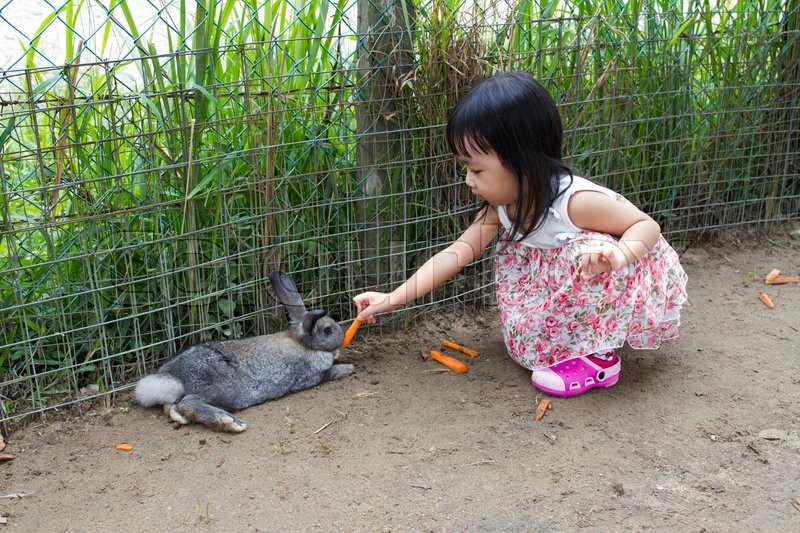 Girl Feeding Rabbit